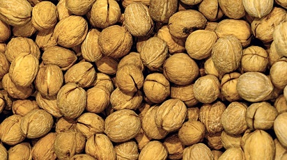 Când se plantează nucul? articole și informații utile in Comunitatea ...